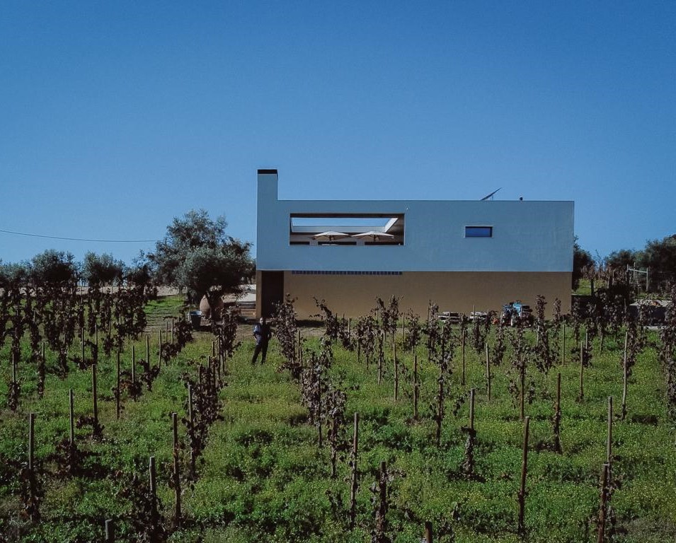 Natus Vini - Tourinto Premium Wines