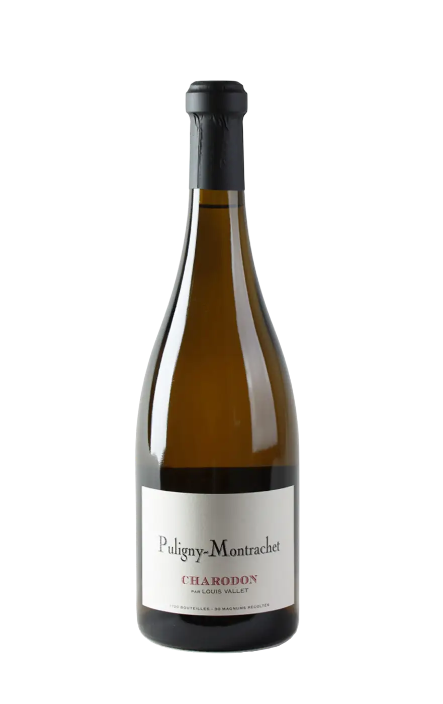 Château de Charodon Puligny Montrachet 2023 - Tourinto Premium Wines