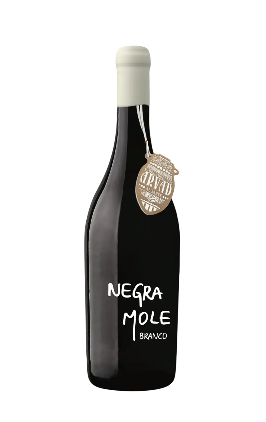 Arvad Negra Mole Branco - Tourinto Premium Wines